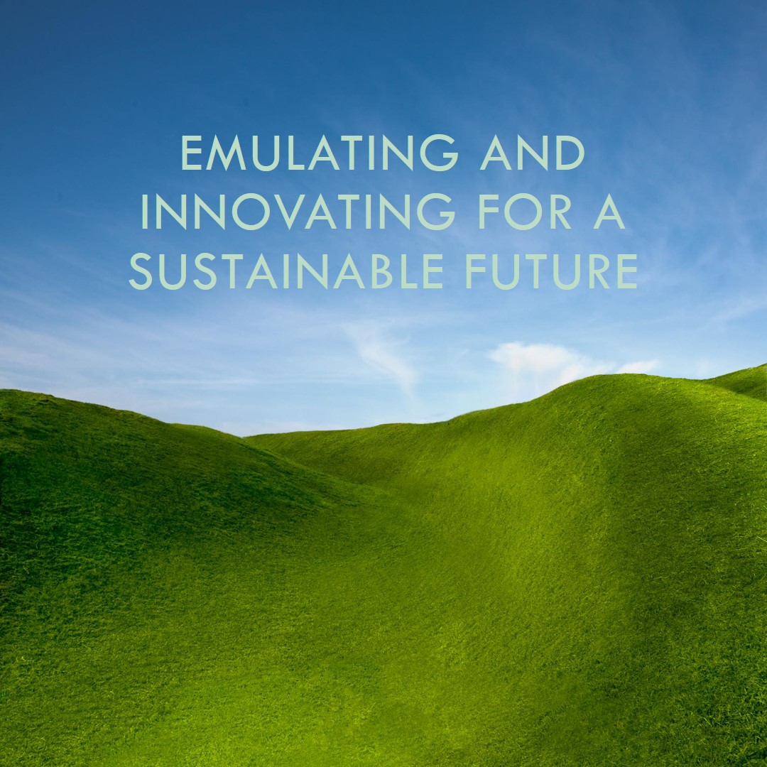 Leading the Charge: Americorp International's Sustainable Revolution in ...
